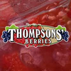 Thompson's Berries Strawberry Rhubarb Jam - 250 ml | East Coast Catalog